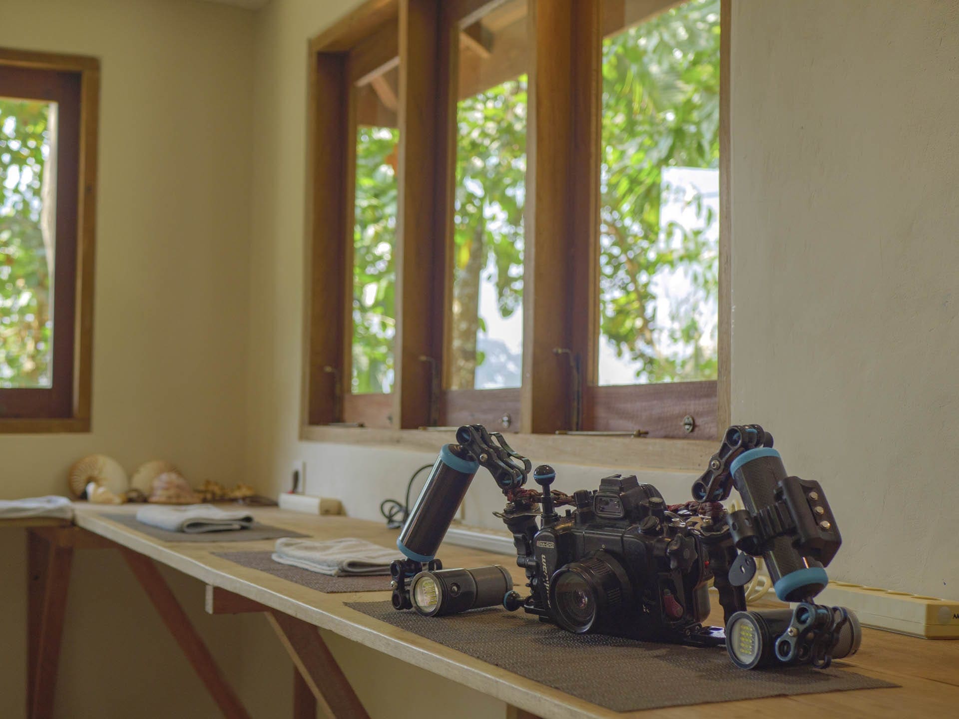 Customized Photography Workshops: Capture Your Unique Vision